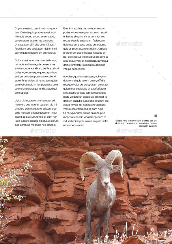 spirit magazine, Print Templates | GraphicRiver