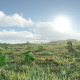 Open Grass Field 3 - HDRI by vfxtesthub | 3DOcean