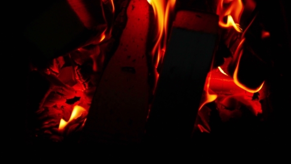 Bonfire, Stock Footage | VideoHive
