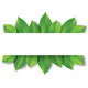 Banner with Green Leaves, Vectors | GraphicRiver