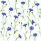 Blue Cornflowers Pattern, Vectors | GraphicRiver