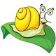 Snail Cartoon by rubynurbaidi | GraphicRiver