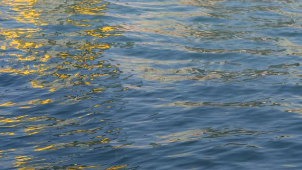 Fire Thrower Performer Circus Woman Dancer 14, Stock Footage | VideoHive