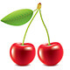 Cherry, Vectors | GraphicRiver