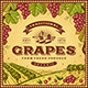Vintage Grapes Label, Vectors | GraphicRiver