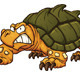 Snapping Turtle, Vectors | GraphicRiver