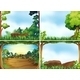 Forest Scenes, Vectors | GraphicRiver