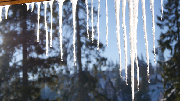 Spring Drops, Stock Footage | VideoHive