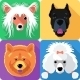 Dog Avatars, Vectors | GraphicRiver
