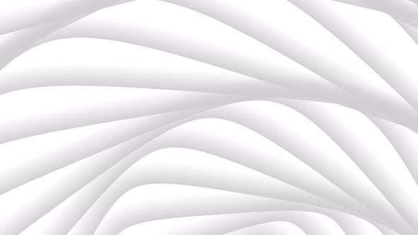 White Background, Motion Graphics | VideoHive