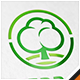 Tree Brand Logo, Logo Templates | GraphicRiver