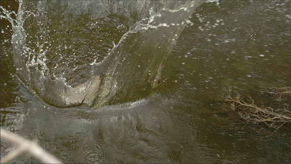 The Water Splash from the Lake, Stock Footage | VideoHive