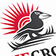 Crow Logo, Logo Templates | GraphicRiver