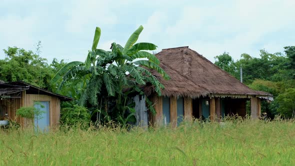 Home Stay Farm Between Green Paddy Field in Thailand Beautiful Farm ...