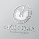 Eagle Star Logo by suraphan | GraphicRiver