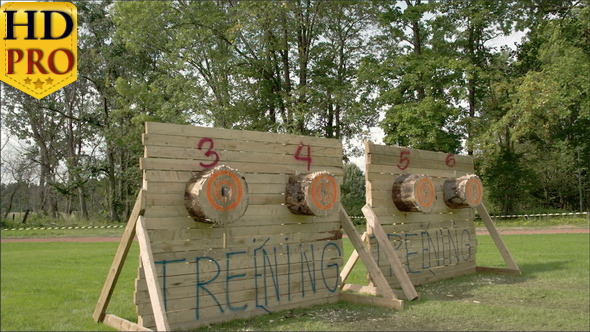 Three Axe Have Been Thrown to the Log Boards, Stock Footage | VideoHive