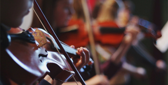 Ensemble Plays the Violin, Stock Footage | VideoHive
