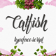 CatFish Font Script, Fonts | GraphicRiver