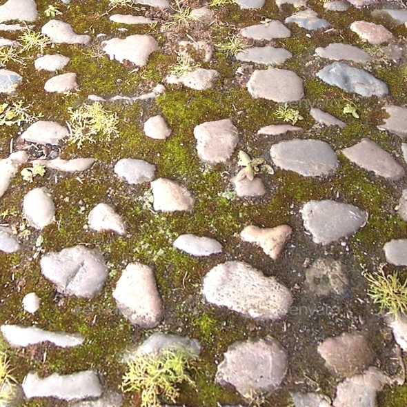 Old Mossy Cobbles Seamless Texture by Lucky_Fingers | 3DOcean