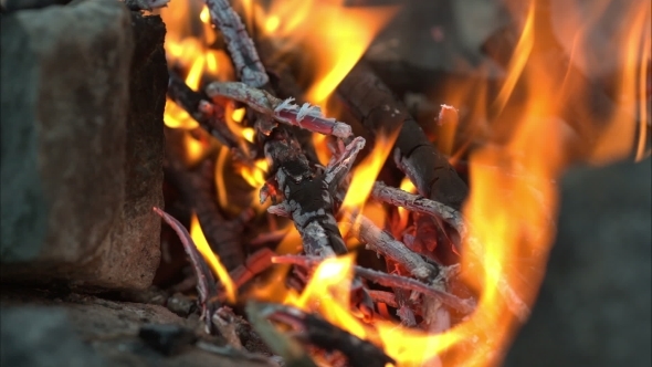 Bonfire, Campfire, Stock Footage | VideoHive