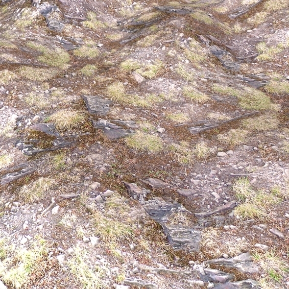 Hill Rocks 01 Seamless Texture by Lucky_Fingers | 3DOcean