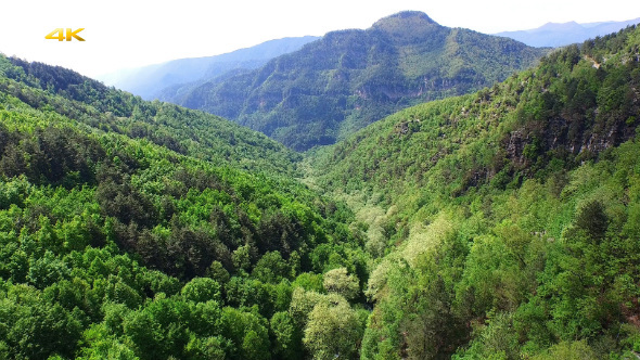 Aerial Forest, Stock Footage | VideoHive