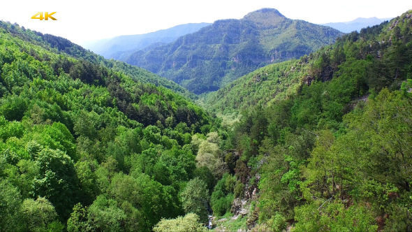 Aerial Flying Over Above Forest in the Valley, Stock Footage | VideoHive