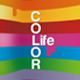Color life, After Effects Project Files | VideoHive