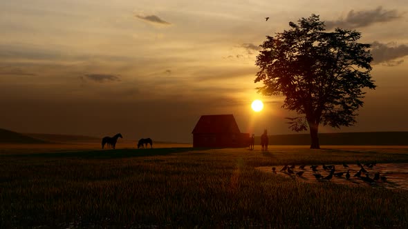Farmhouse With Sunset View, Motion Graphics | VideoHive