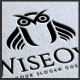 Wise Owl Logo by MS_designer | GraphicRiver