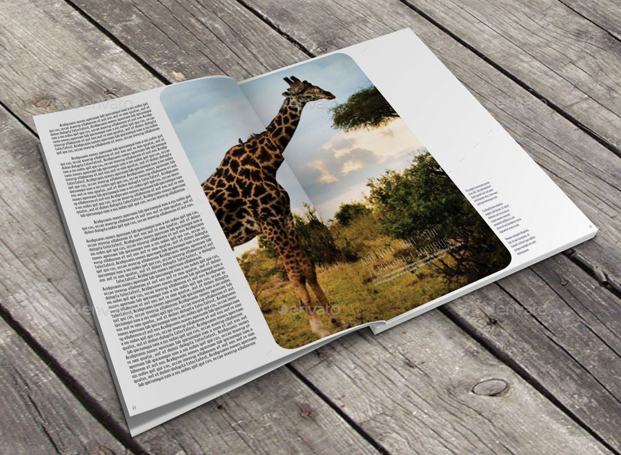 Big Magazine Bundle Vol.03 by crew55design | GraphicRiver