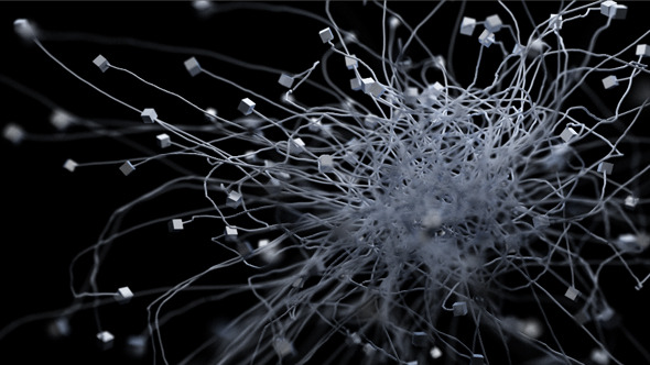 Abstract Lines, Motion Graphics | VideoHive