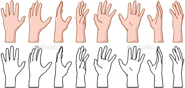 Hand 360 Turn Around Rotation View by LironPeer | GraphicRiver