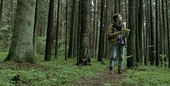 Looking For The Right Path, Stock Footage | VideoHive