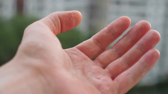 Man Palm Catching Rain Drops. Staying at Home Concept. Rainy Day ...