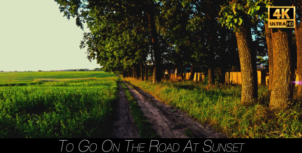 To Go On The Road At Sunset 4, Stock Footage | VideoHive