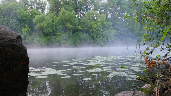 Morning Mist On The River, Stock Footage | VideoHive