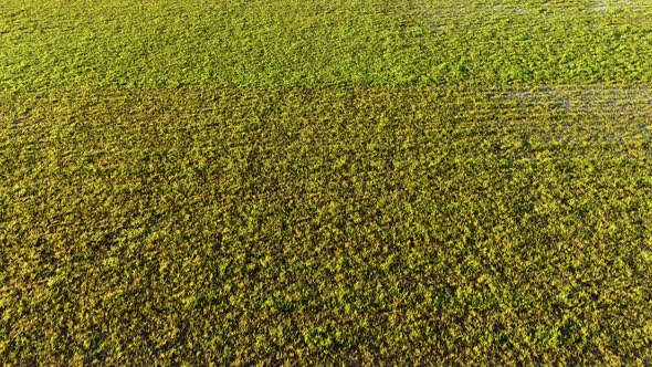 Farm Fields Background Texture Green 4 K Aerial View, Stock Footage