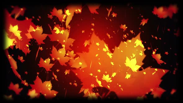 Fall Leaves Particles, Motion Graphics | VideoHive