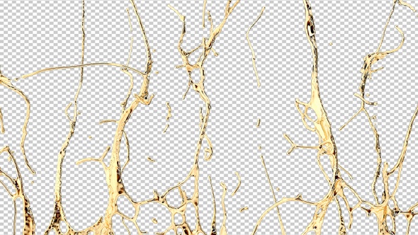 Red Gold Splash, Motion Graphics | VideoHive