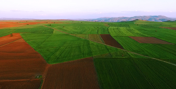 Field, Stock Footage | VideoHive