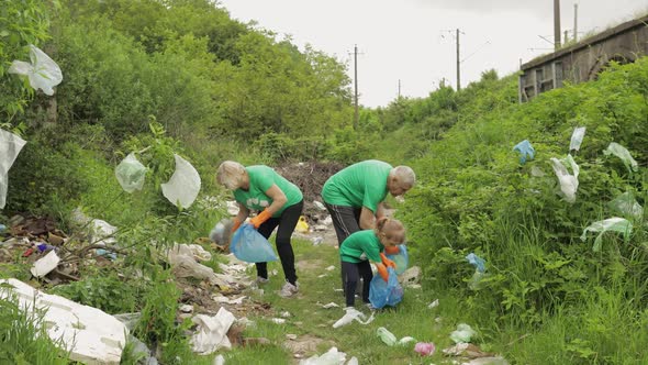 Volunteer Team Cleaning Up Dirty Park From Plastic Bags, Bottles ...