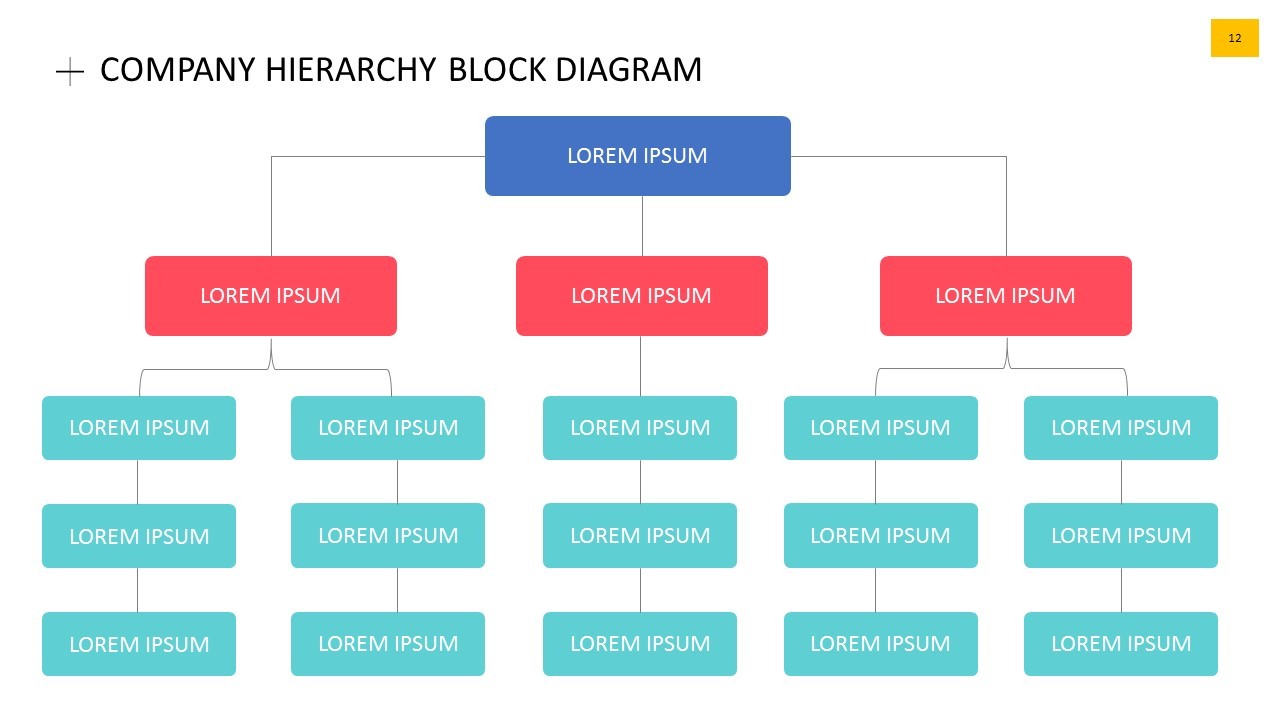 Company Hierarchy Power Point Presentation, Presentation Templates