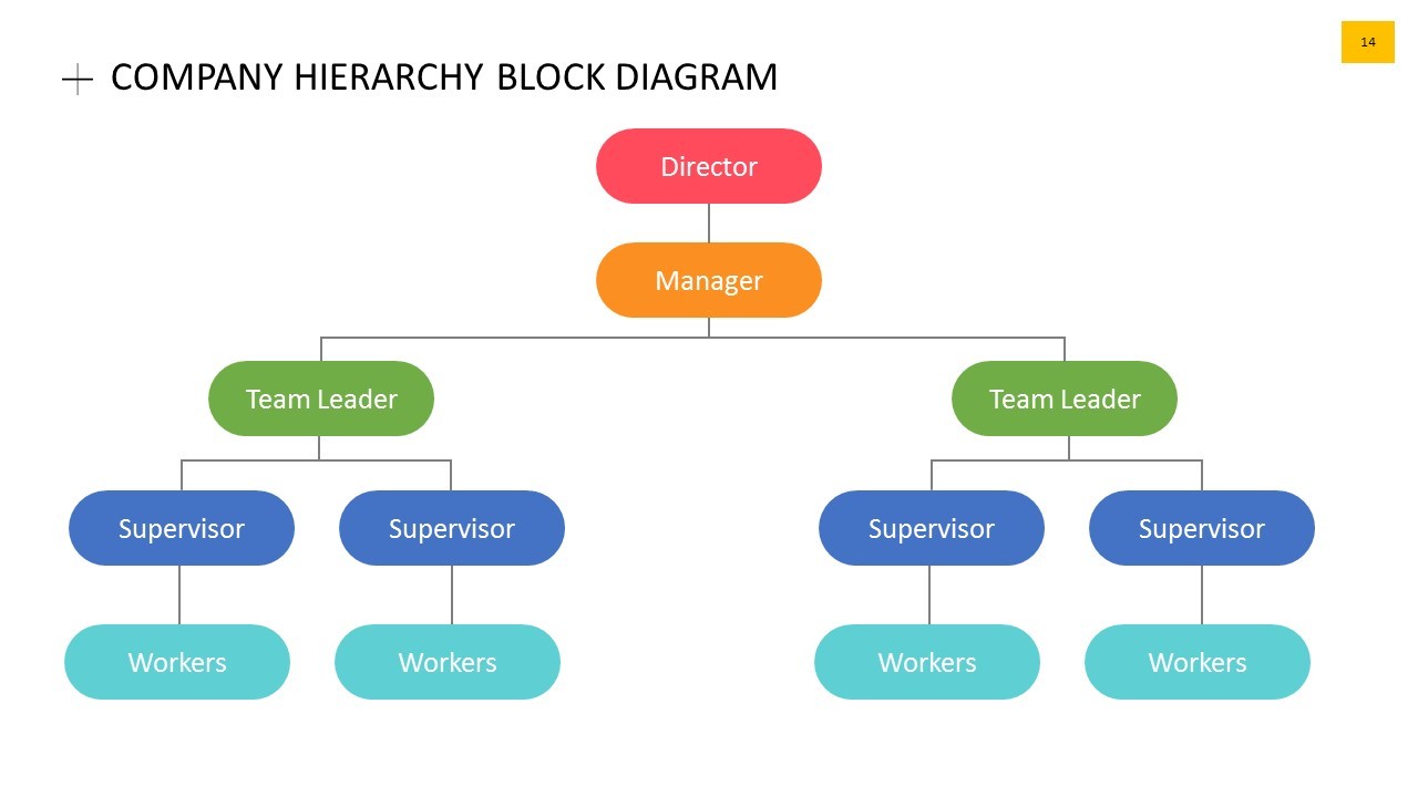 Company Hierarchy Power Point Presentation, Presentation Templates