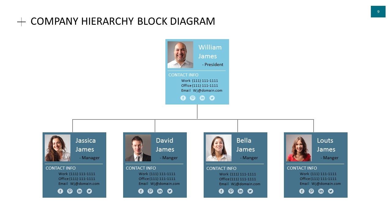 Company Hierarchy Power Point Presentation, Presentation Templates