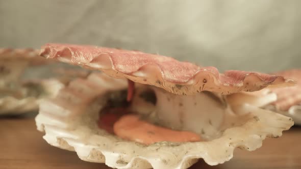 Pink Shell of Sea Shellfish Opens Lying in Bright Studio, Stock Footage