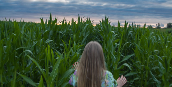 Running Through the Field, Stock Footage | VideoHive