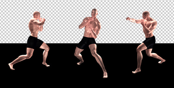 Fight Club Boxing - White Male - Pack of 6, Motion Graphics | VideoHive
