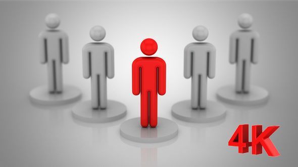 Leader Animation, Motion Graphics | VideoHive