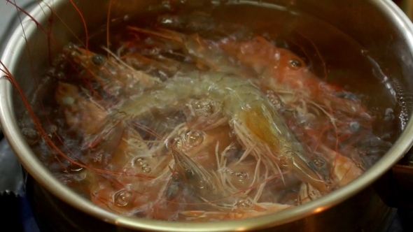 Cooking Prawns In Boiling Water In Saucepan, Stock Footage | VideoHive